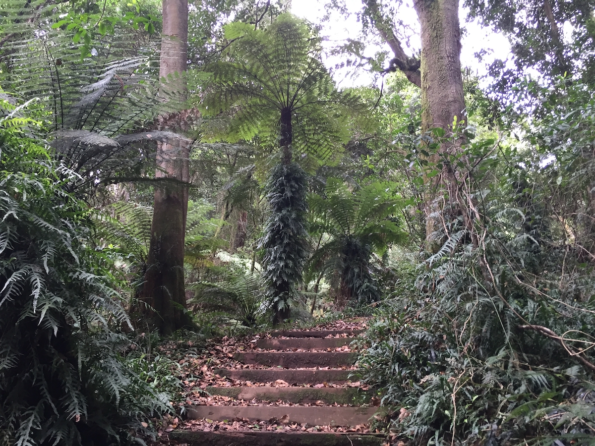 Human-centred business strategy – A human-centred approach to business ...